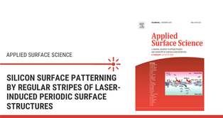 Silicon surface patterning by regular stripes of laser-induced periodic ...