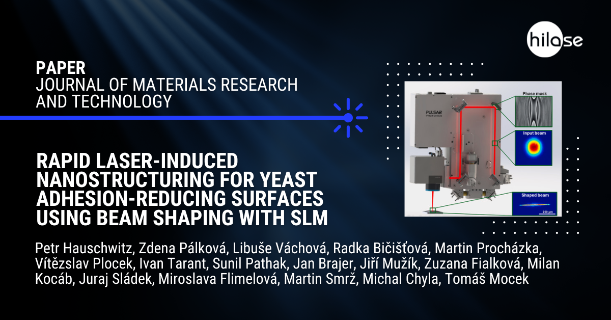 Rapid laser-induced nanostructuring for yeast adhesion-reducing ...